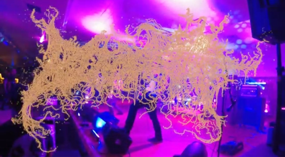 Blood Spore at Life After Death Fest – Life After Death Productions